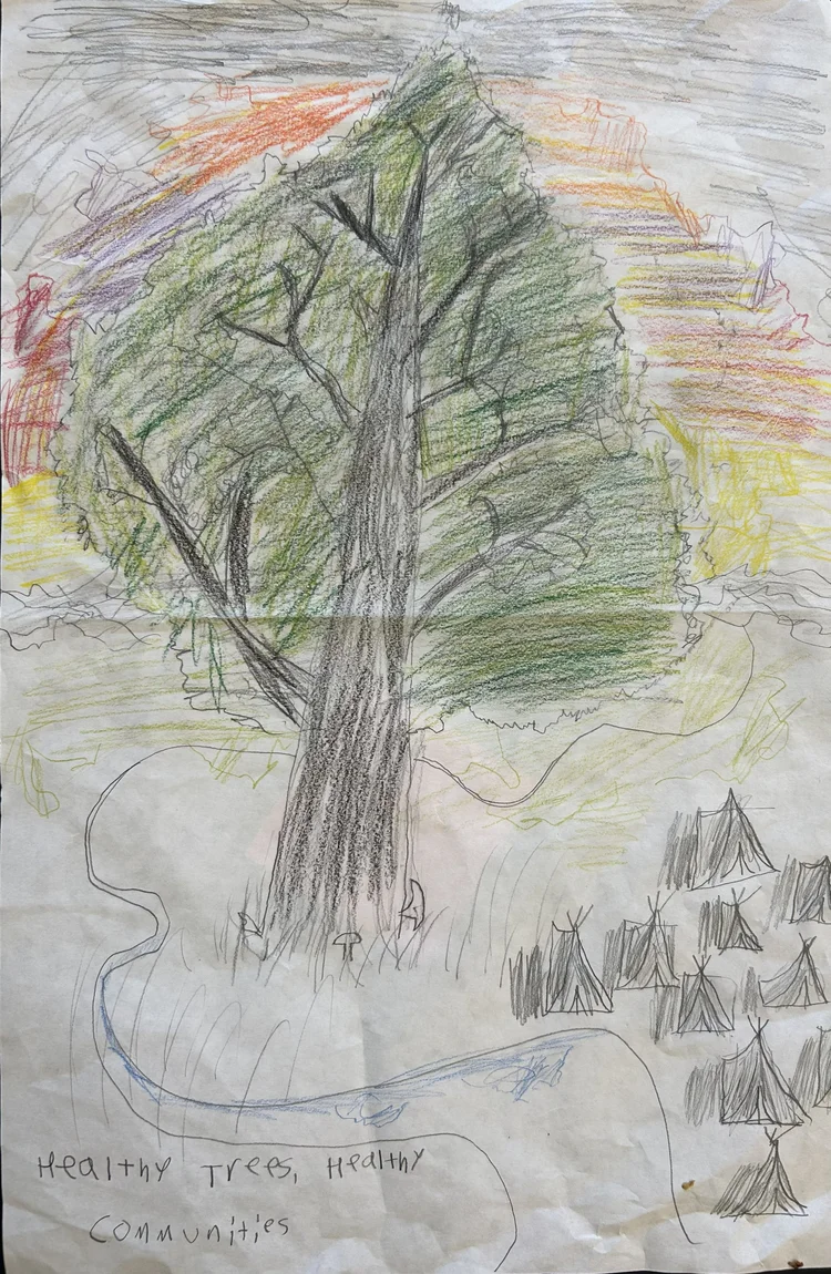 Arbor Day Poster Contest 2026 Gallery — COLORADO TREE COALITION