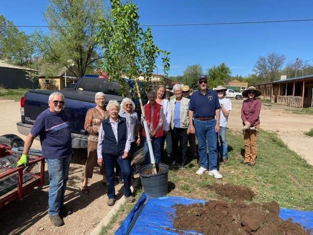 CTC Tree Grant — COLORADO TREE COALITION