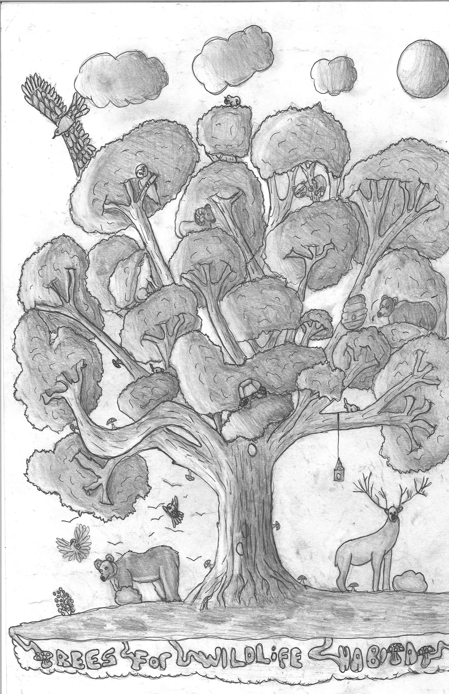 COLORADO TREE COALITION