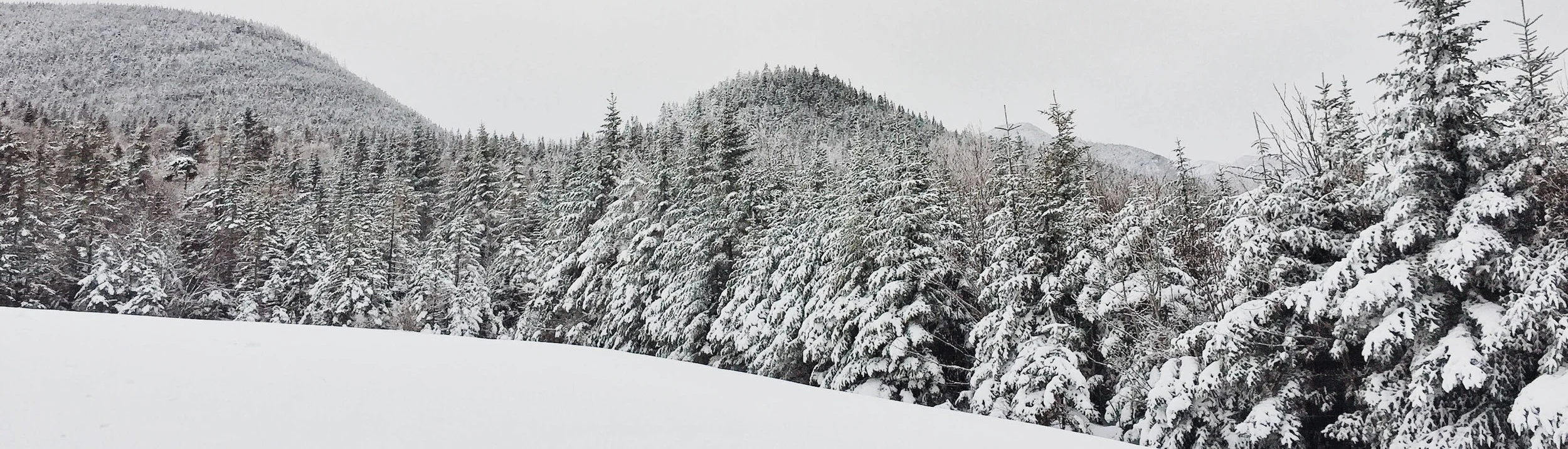 Learn about True North Outpost & our guided outdoor adventure trips ...