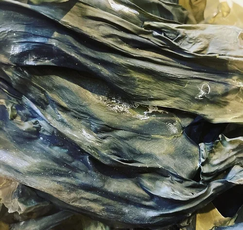 Cooking with Kelp — Stonington Kelp Co.