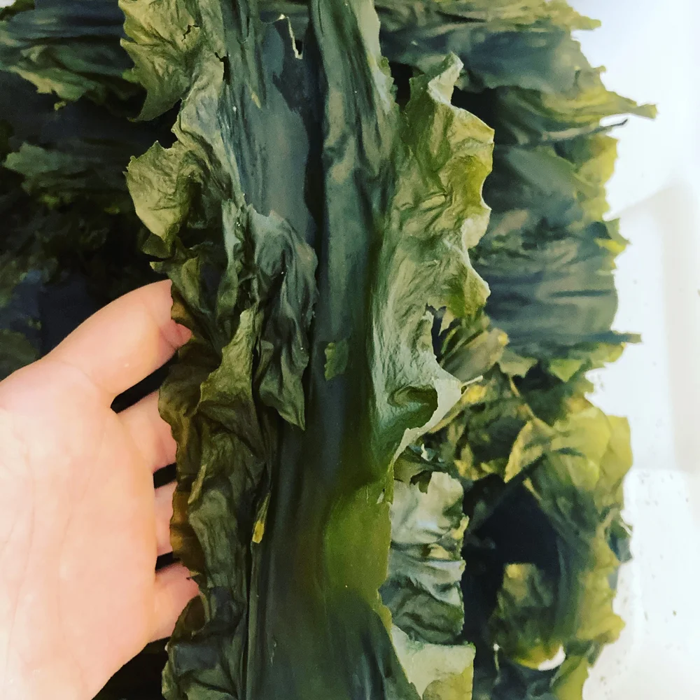 Restaurant Wholesale Pricing — Stonington Kelp Co.
