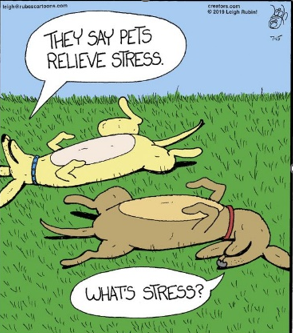 Articles | AbleWayTech