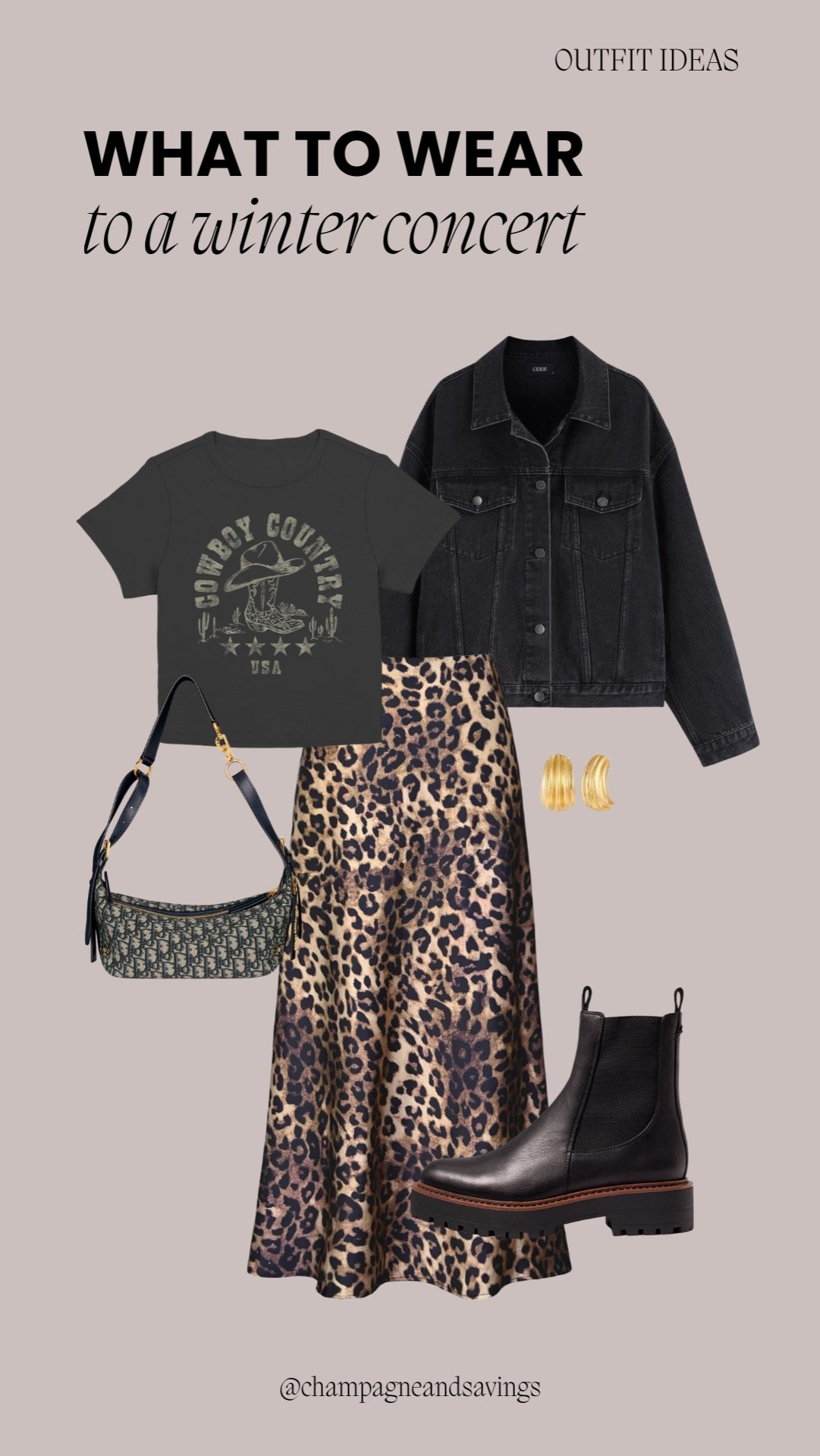 Edgy But Cute Winter Concert Outfit Ideas — Champagne & Savings