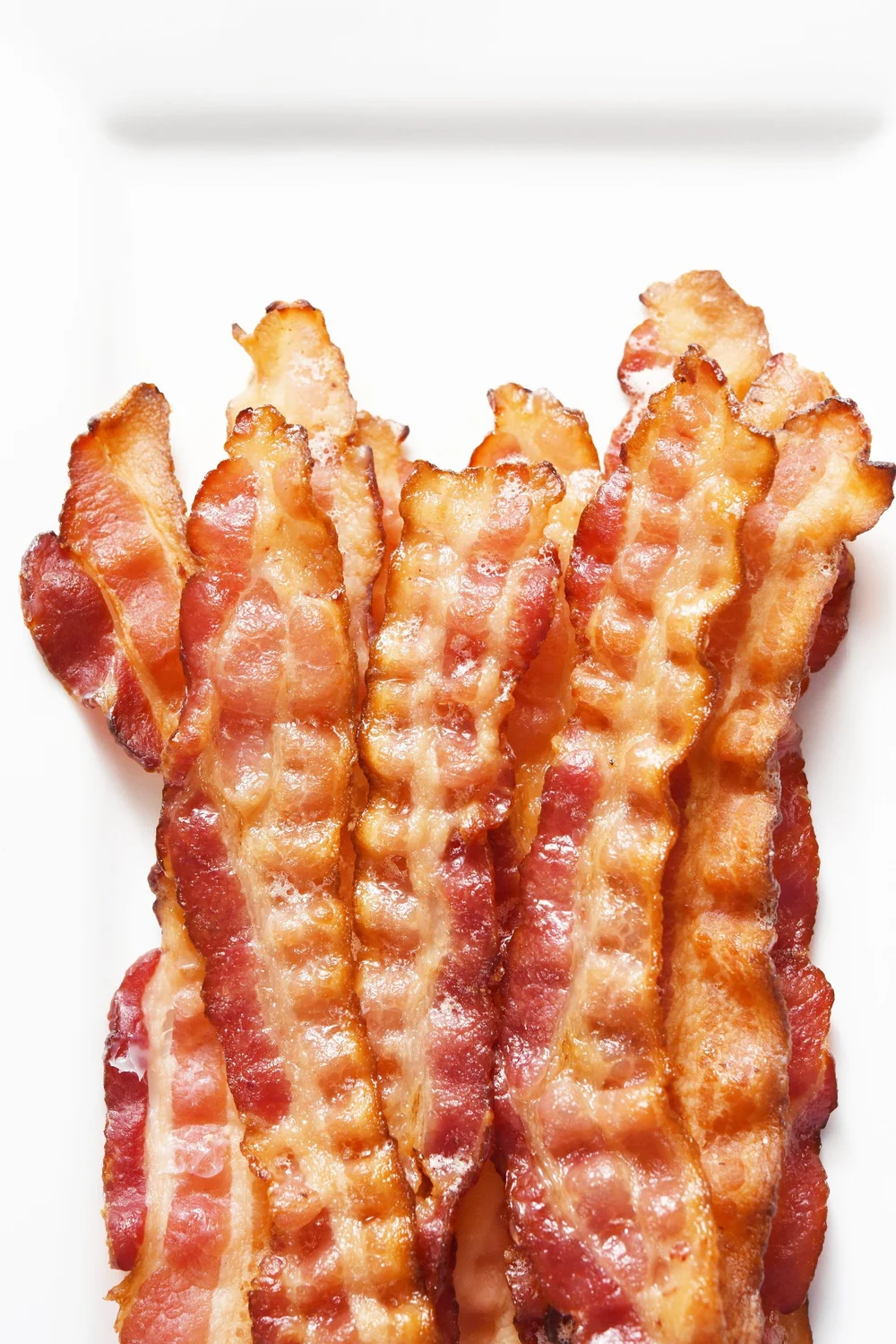 Foodservice REP | Food Service Trends | Culinary Magazine