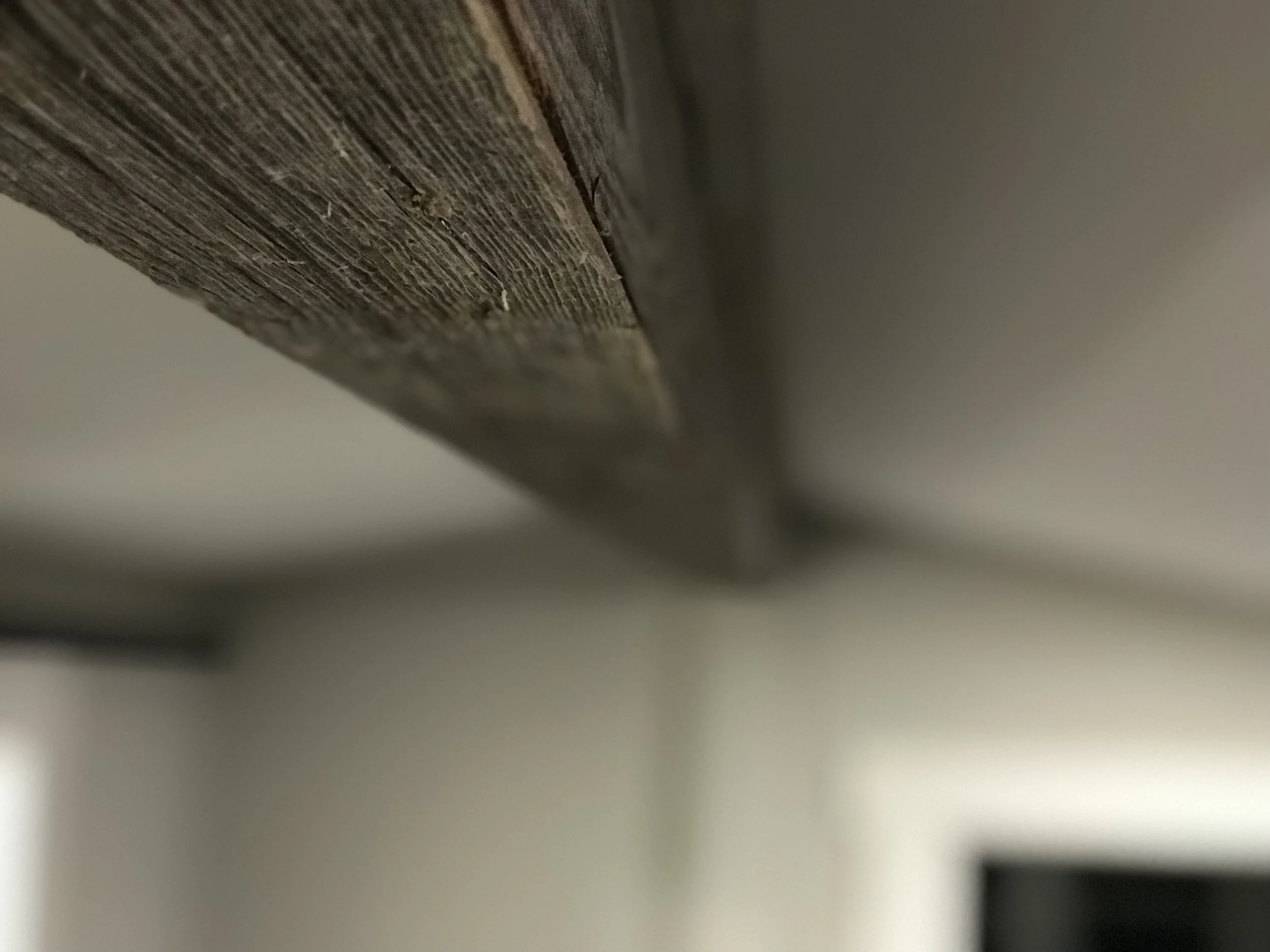 Wood Chaser - Wood With A Resume