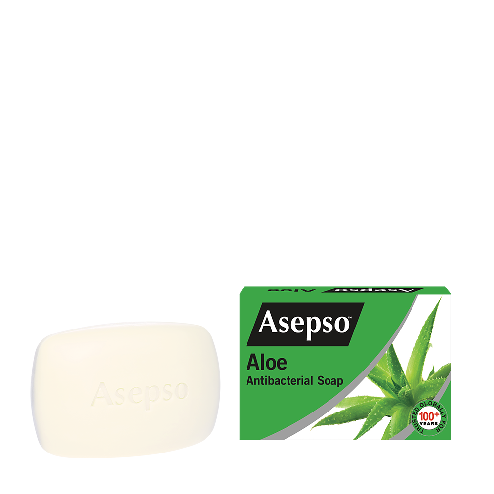 Product Catalogue — ASEPSO