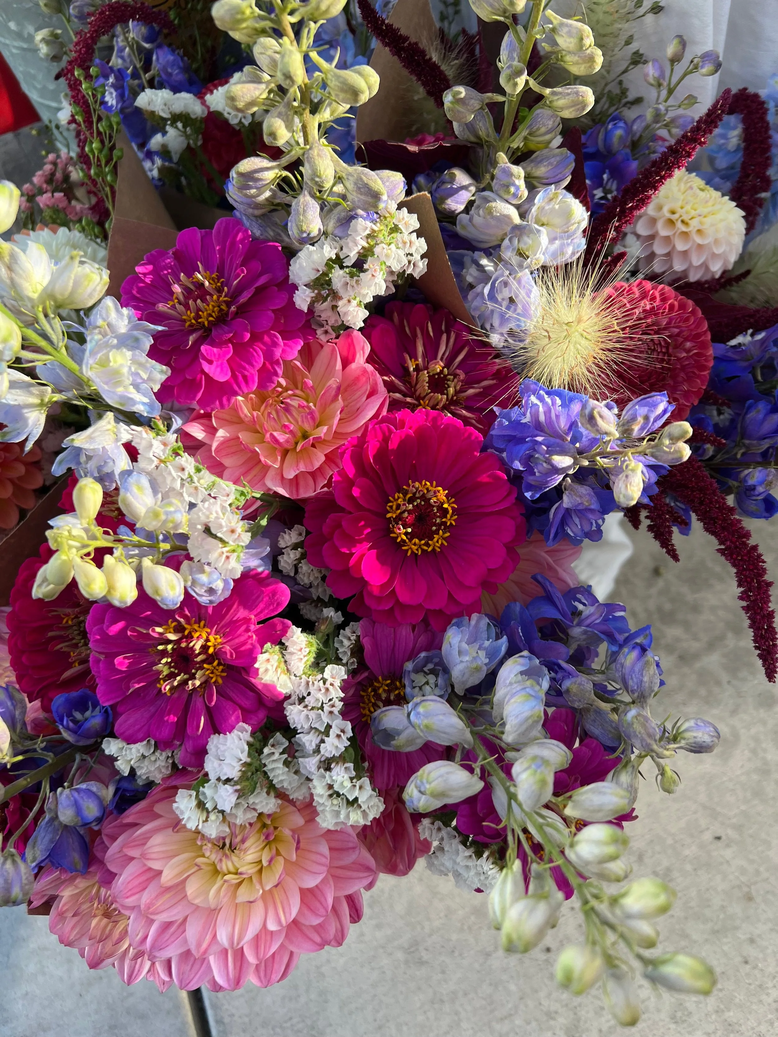 CSA — FORMOSA FLOWER FARM