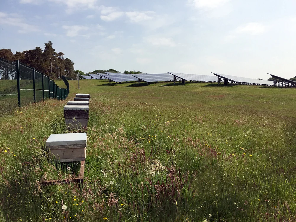 Willow Solar Farm — SPRING