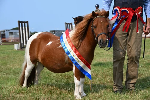 Agricultural Show — Ashwater Parish