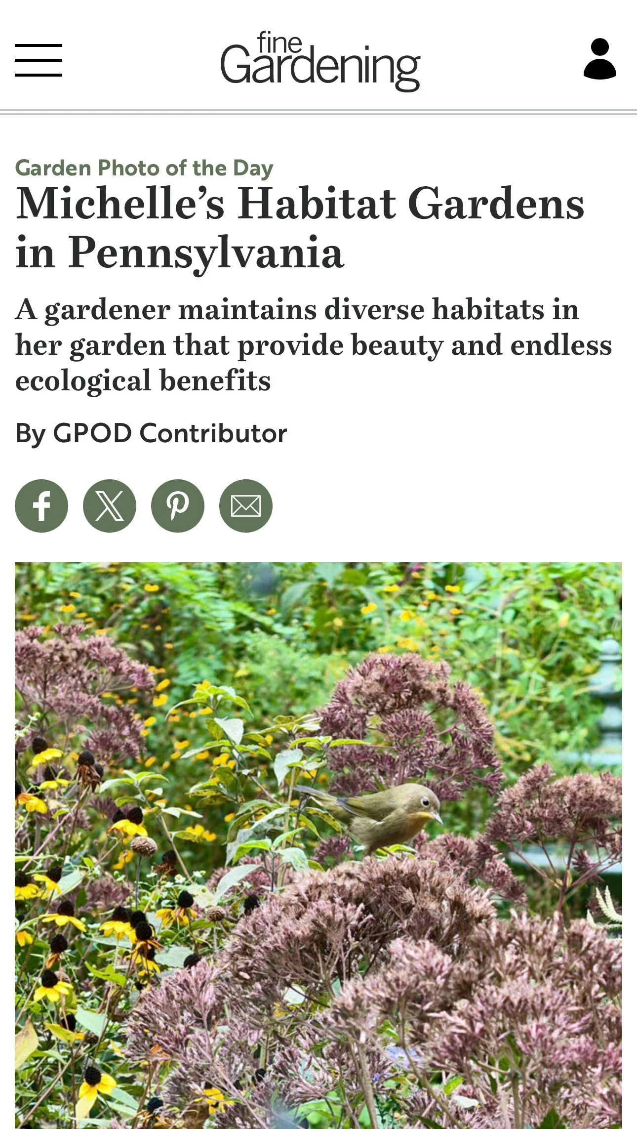 Blog — Wild About Native Plants