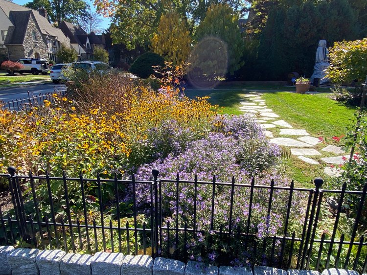 Services — Wild About Native Plants