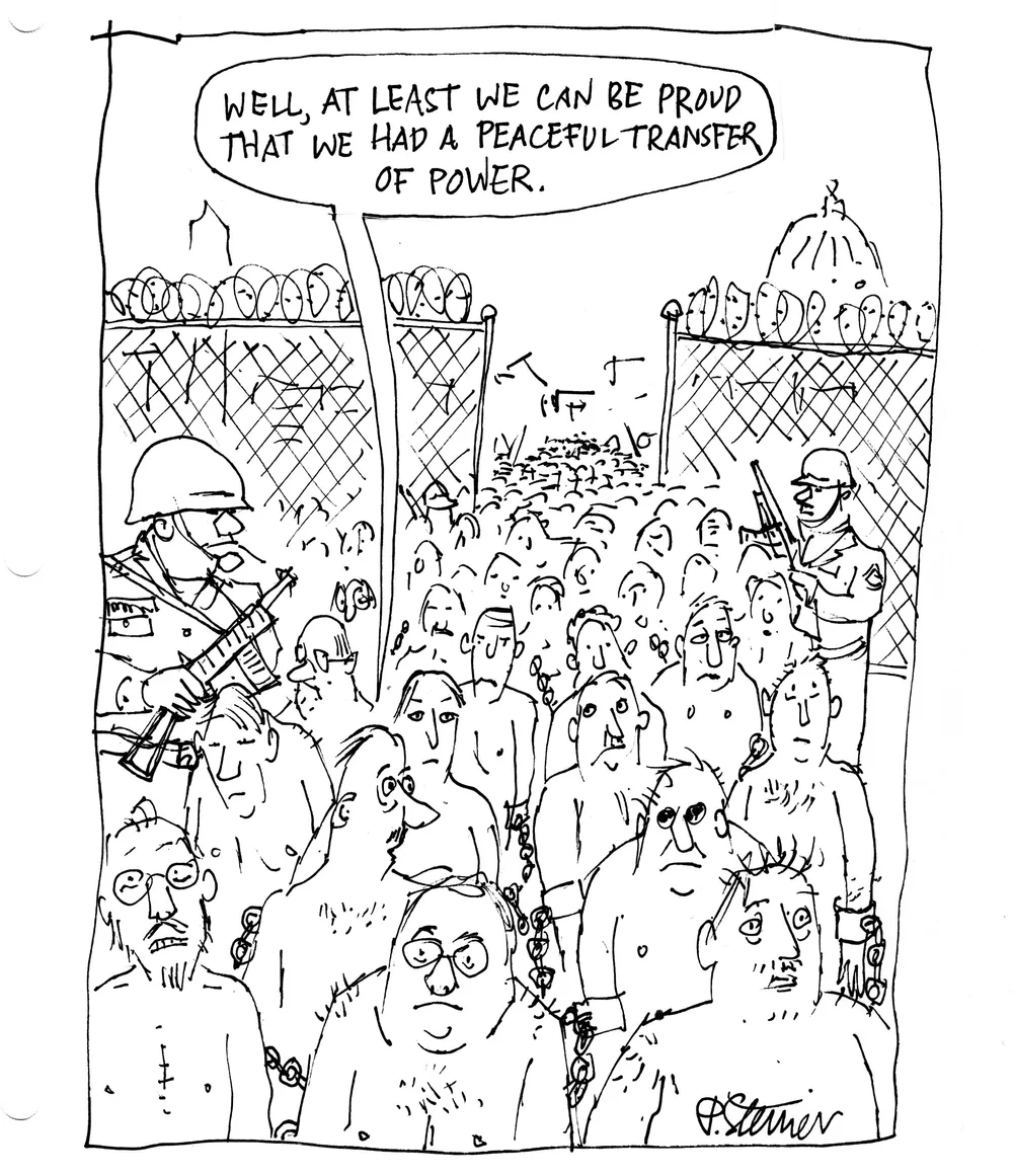 Hopeless but not Serious — Peter L SteinerPeter Steiner