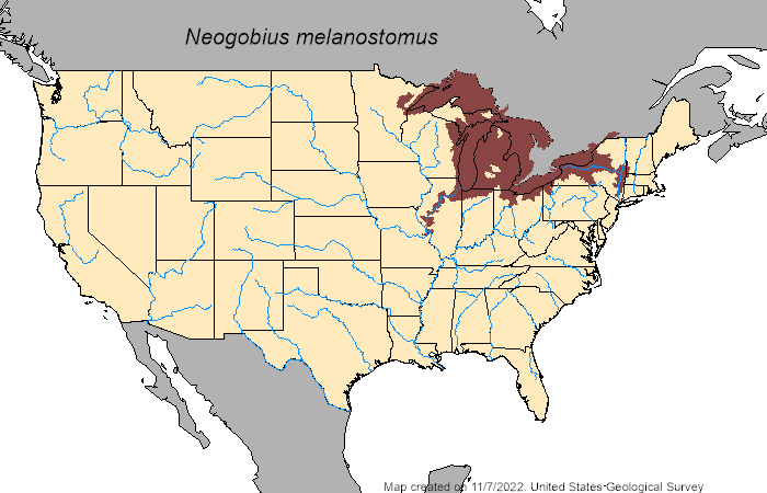 Round Goby — CRISP