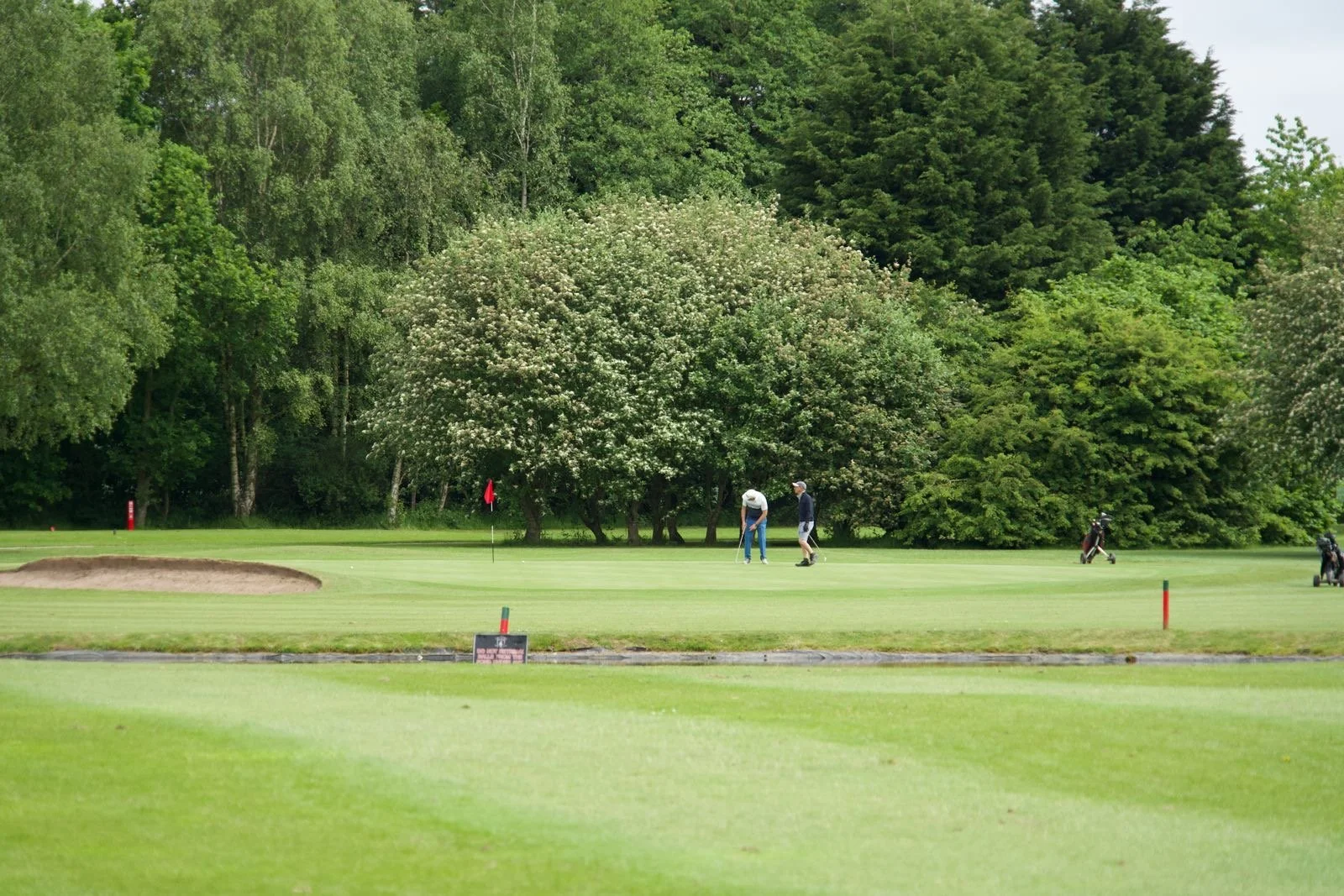 The course — Alder Root Golf Club