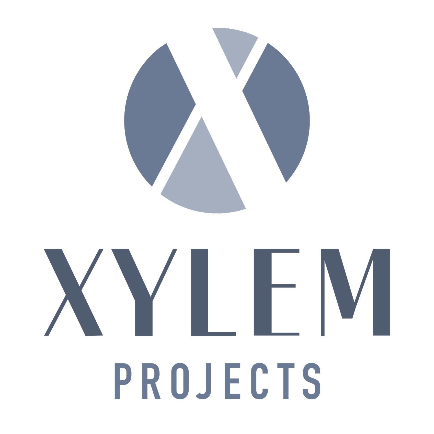 Xylem Projects