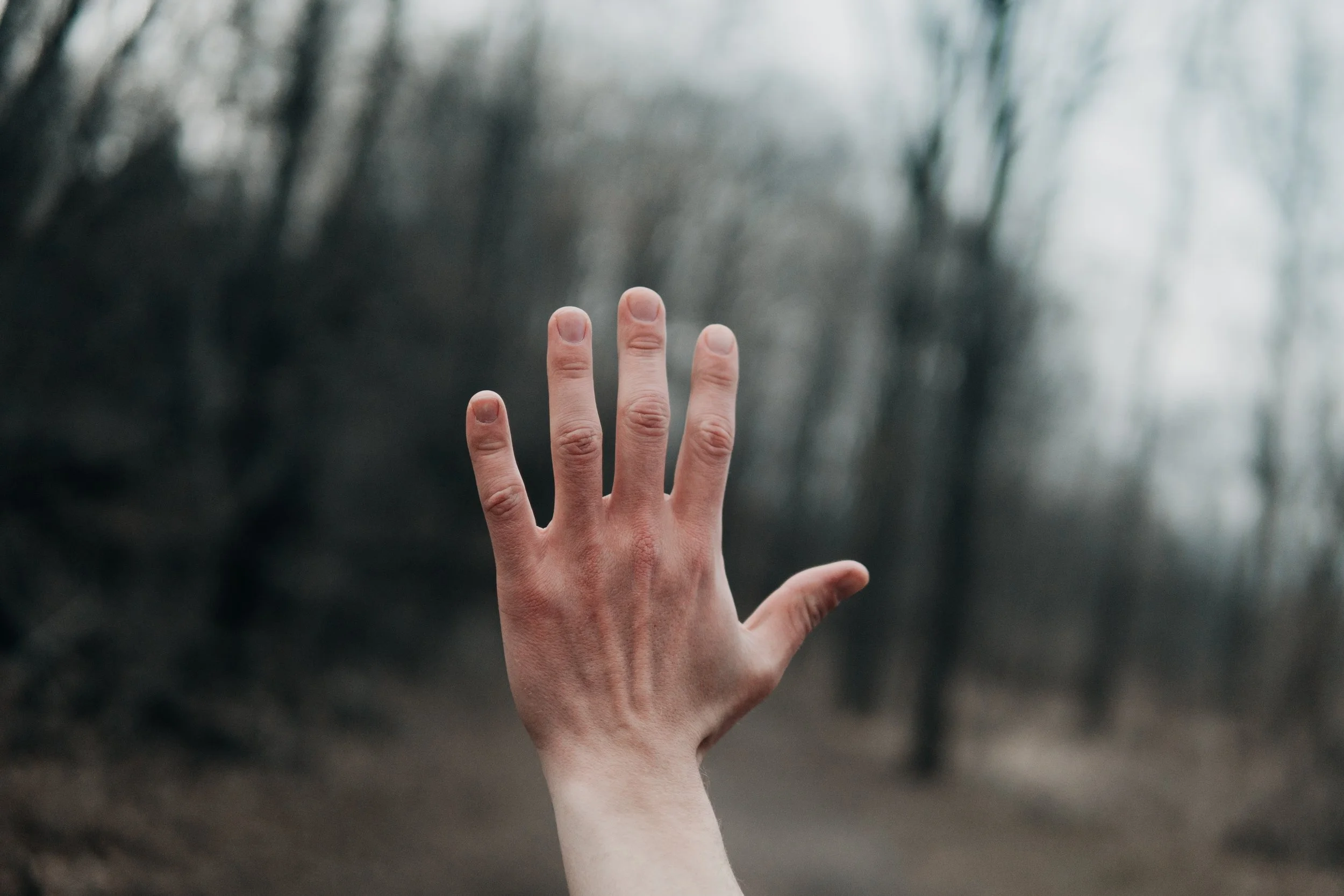 An Awesome Way to Take a Deep Breath — Janine Halloran