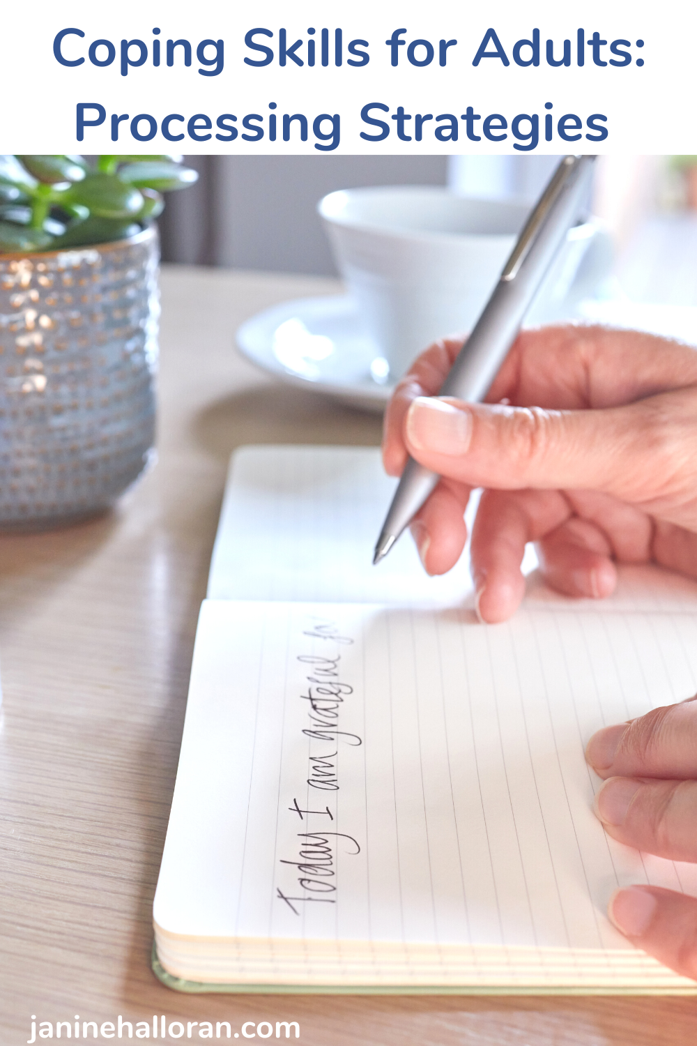 Coping Skills for Adults: Processing Strategies — Janine Halloran