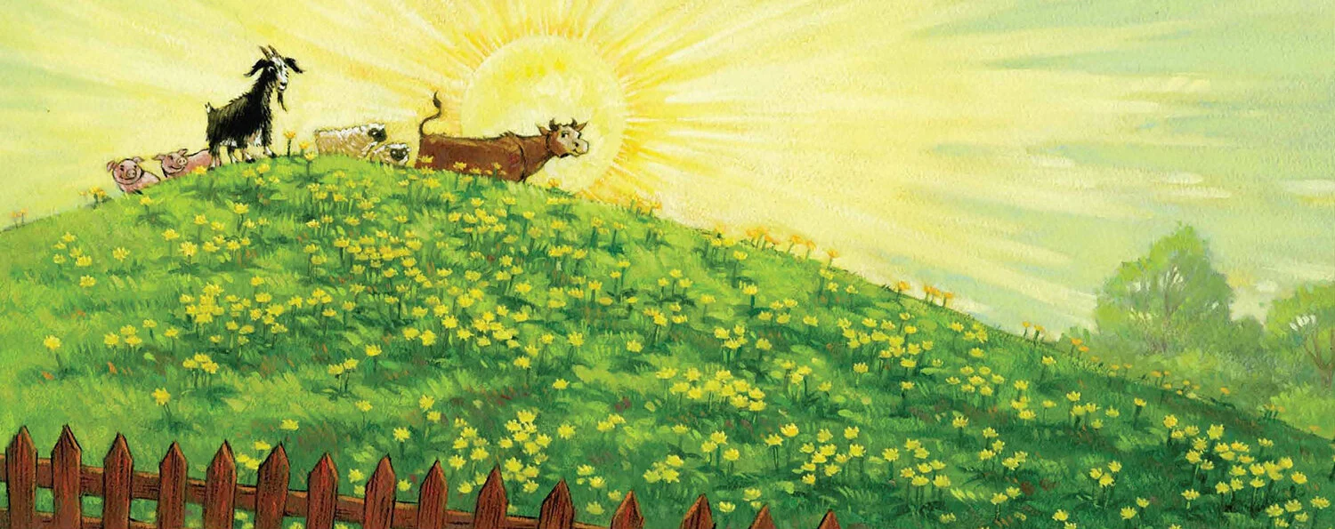 GRUMPY GOAT — BRETT HELQUIST ILLUSTRATION