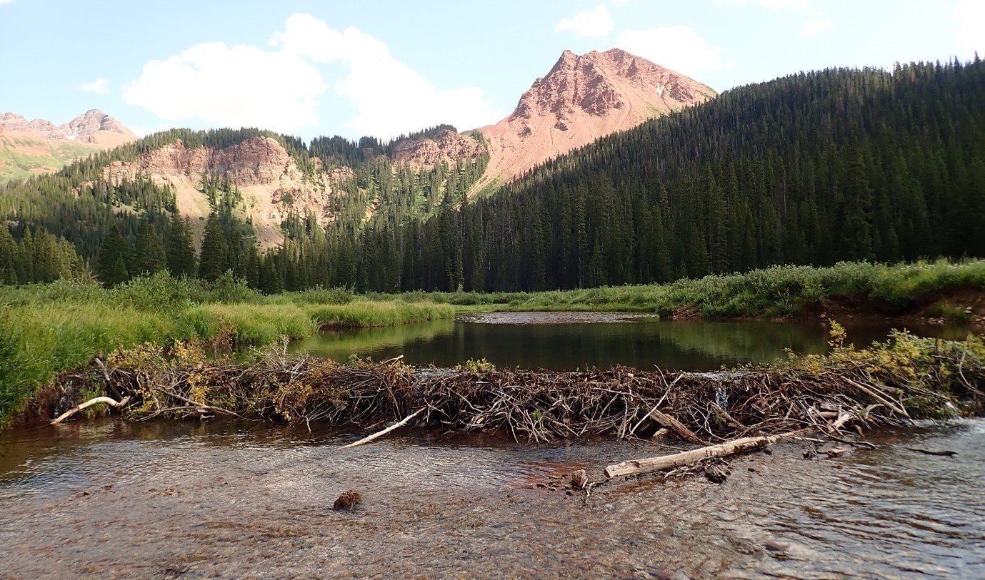 Lynker Analytics Ltd