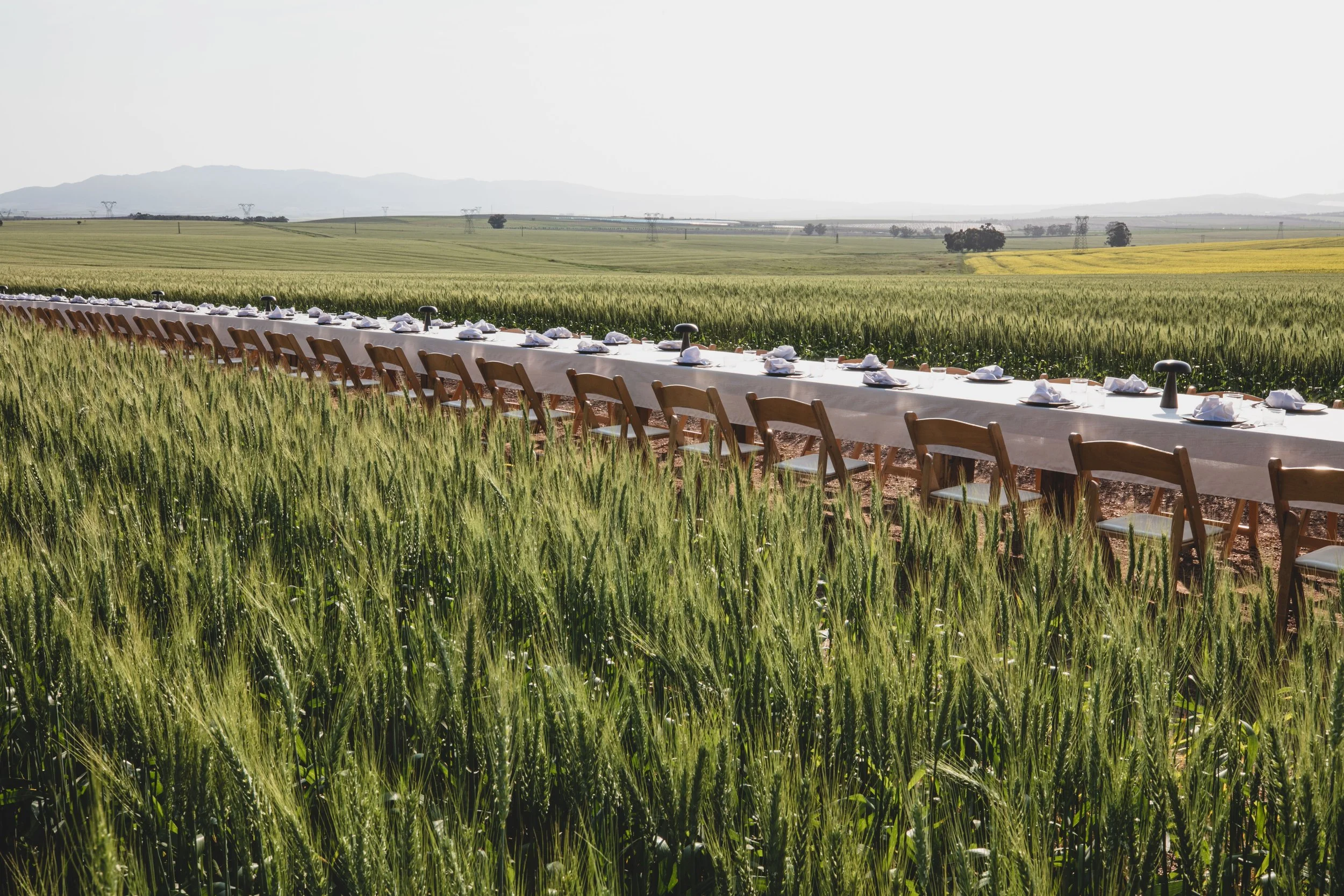 KRAAKTAFEL — KRAAK