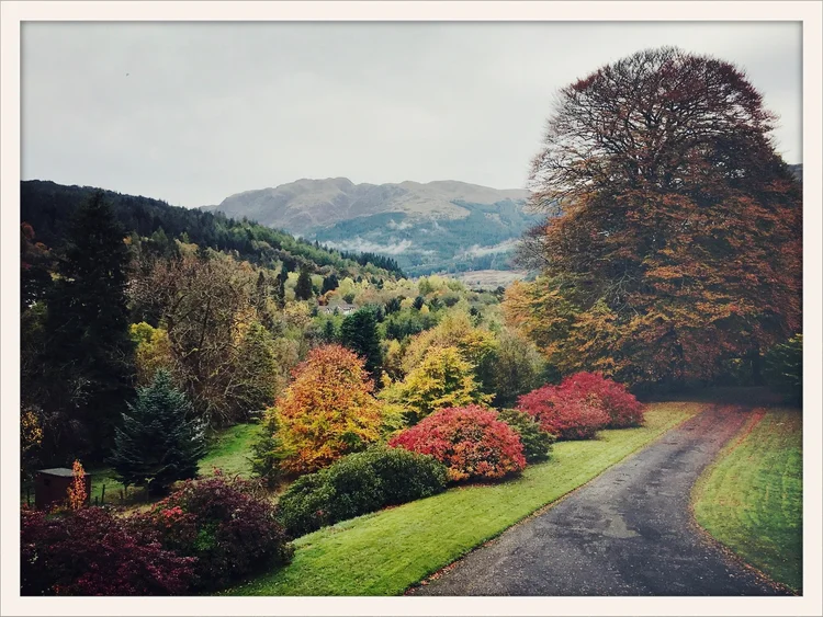 Ardoch Lodge | Strathyre| Self-Catering Log Cabins & Cottage | Loch ...