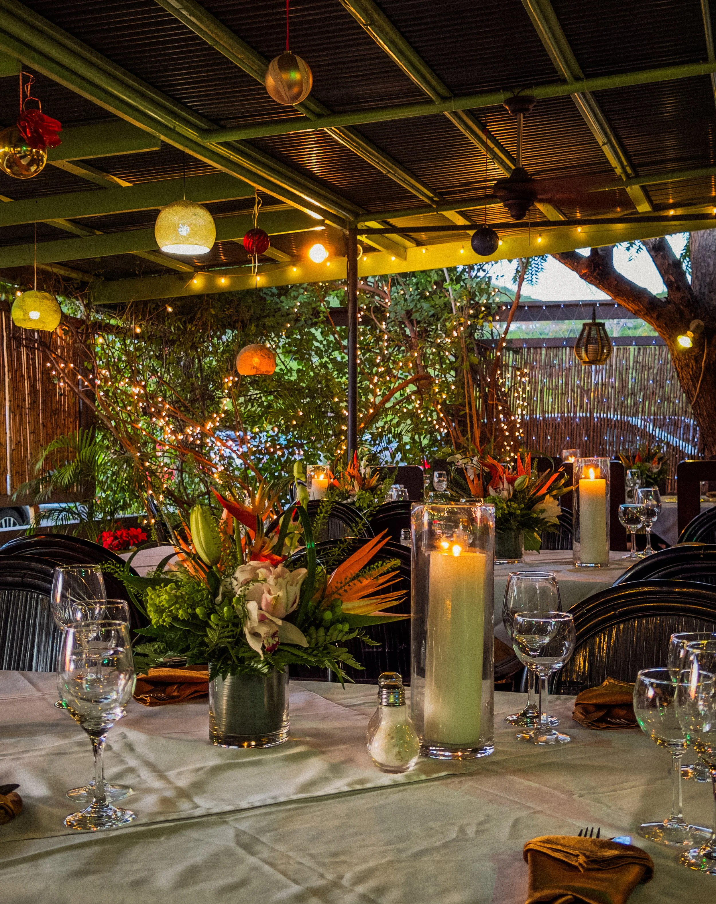 Bath & Turtle / Chez Bamboo