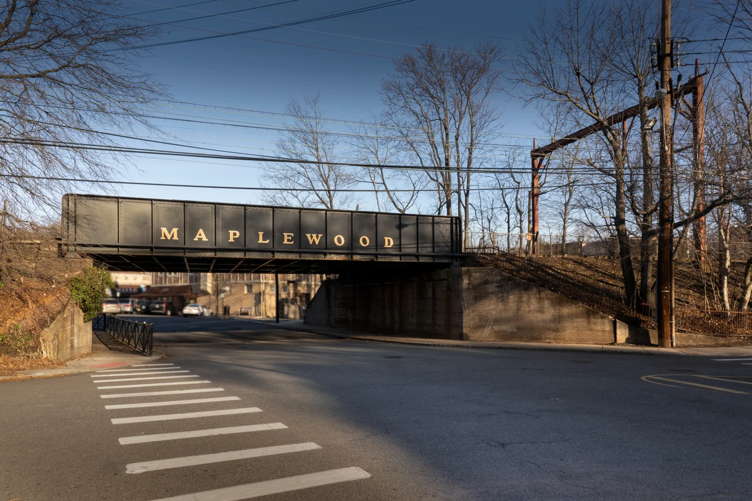 Research Maplewood — Maplewood Library