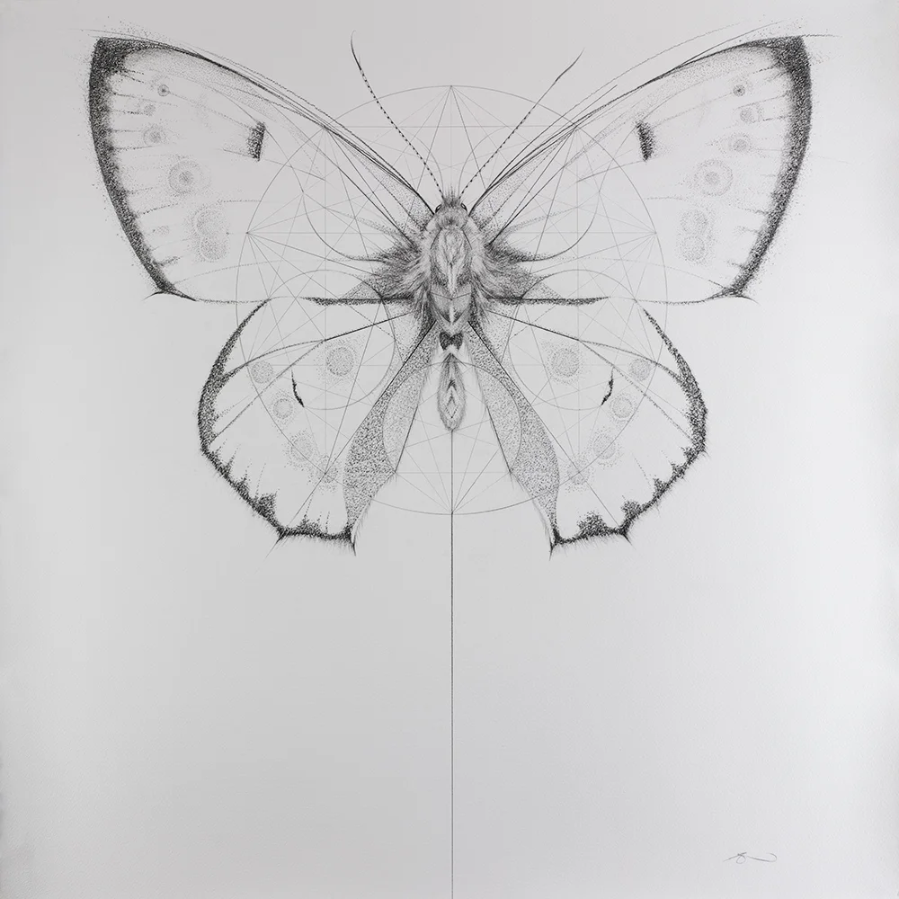 Archive | Drawings & Paintings — Jessica Albarn | Fine Artist - Line ...