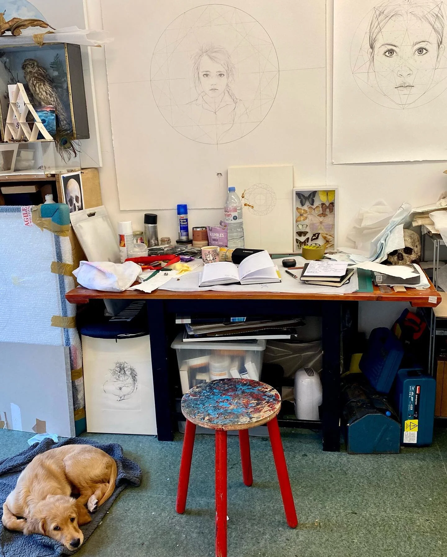 Jessica Albarn | Fine Artist - Line drawing, Painting, Multi-media ...