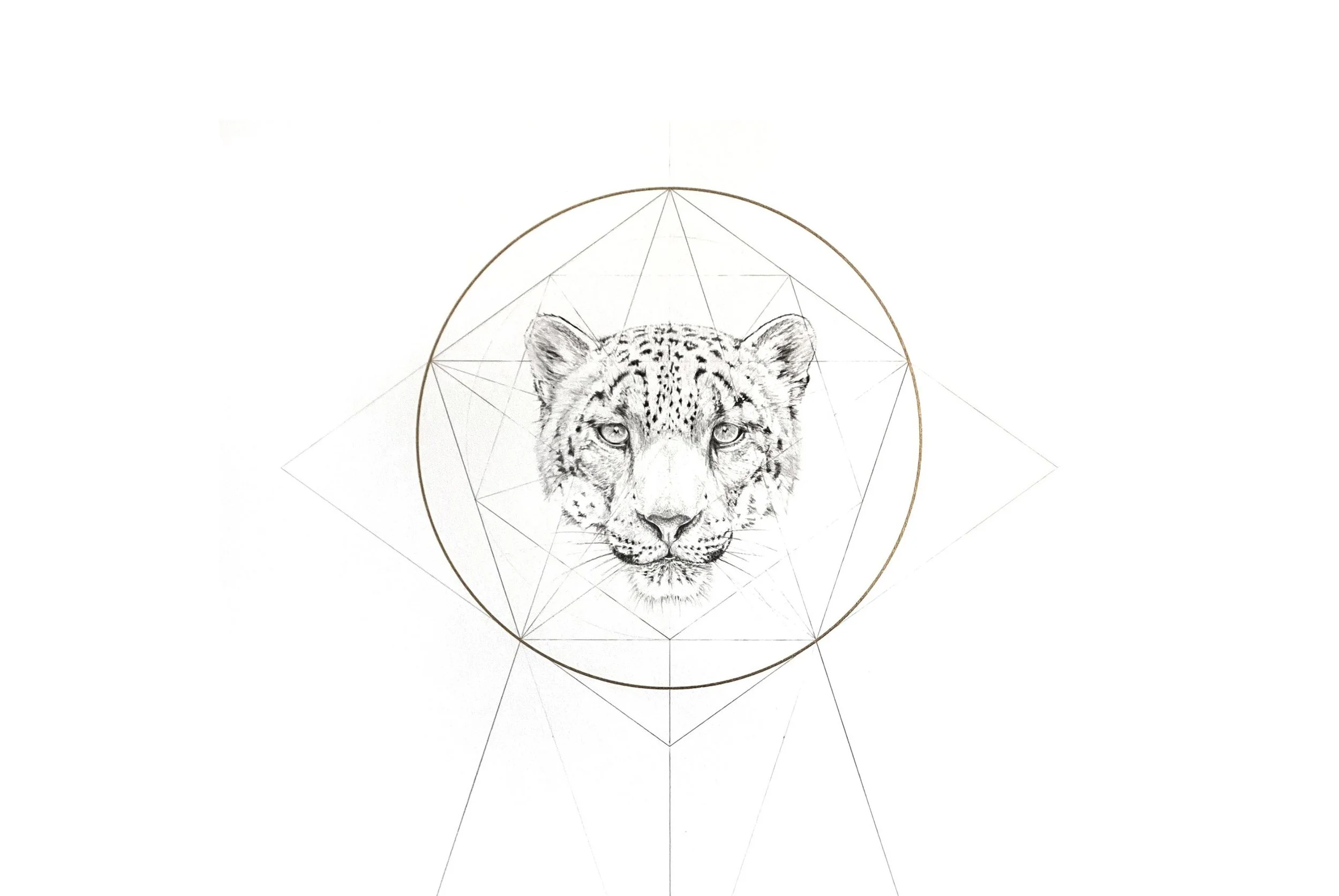 Jessica Albarn | Fine Artist - Line drawing, Painting, Multi-media ...