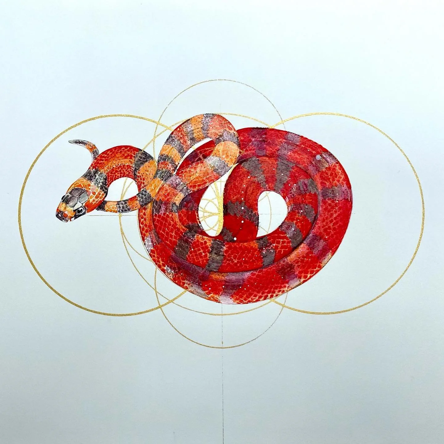 Jessica Albarn | Fine Artist - Line drawing, Painting, Multi-media ...