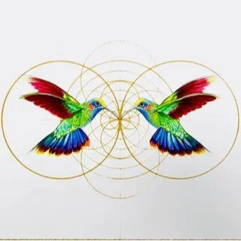 Galleries & Exhibitions — Jessica Albarn | Fine Artist - Line drawing ...