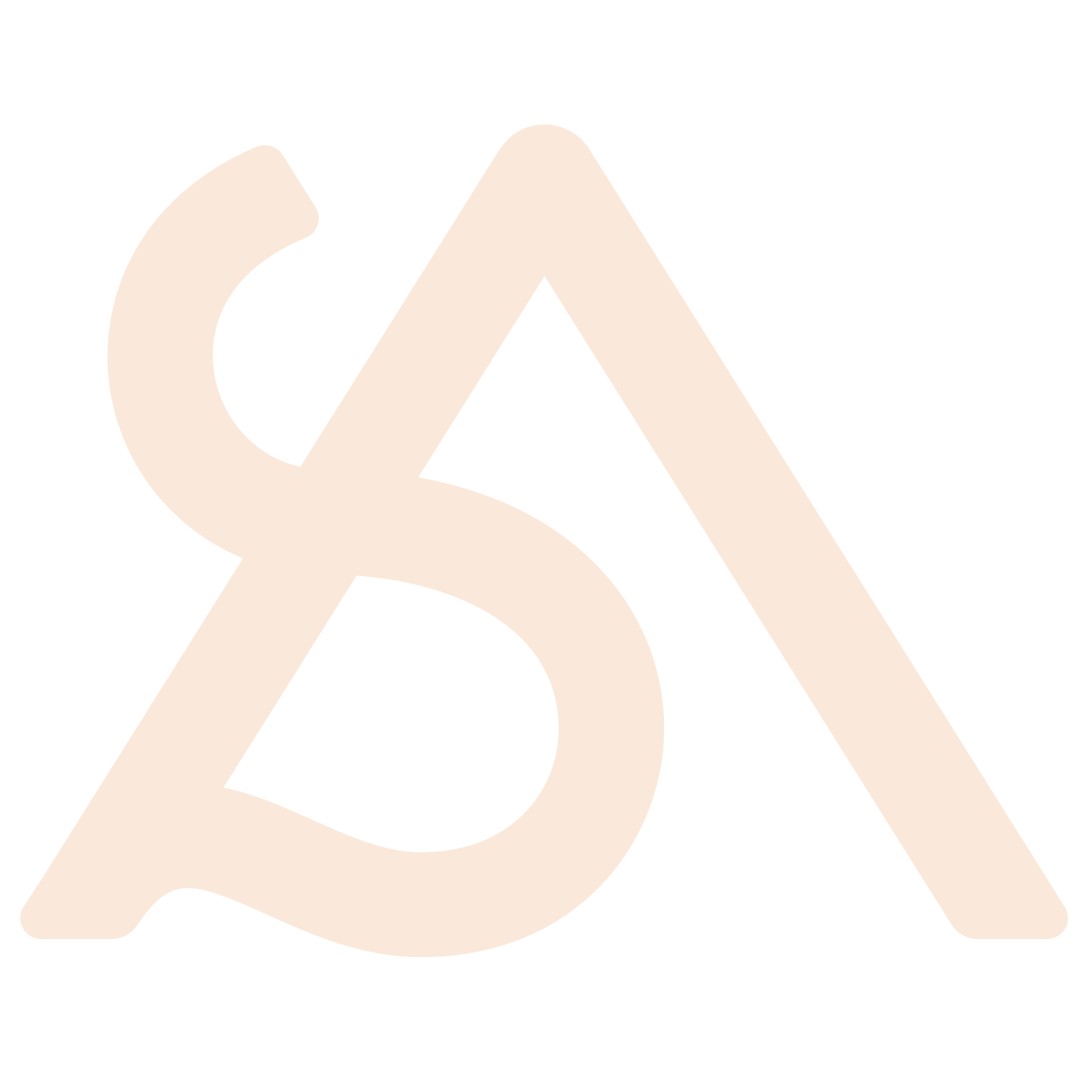 Portfolios — Denver Ad School