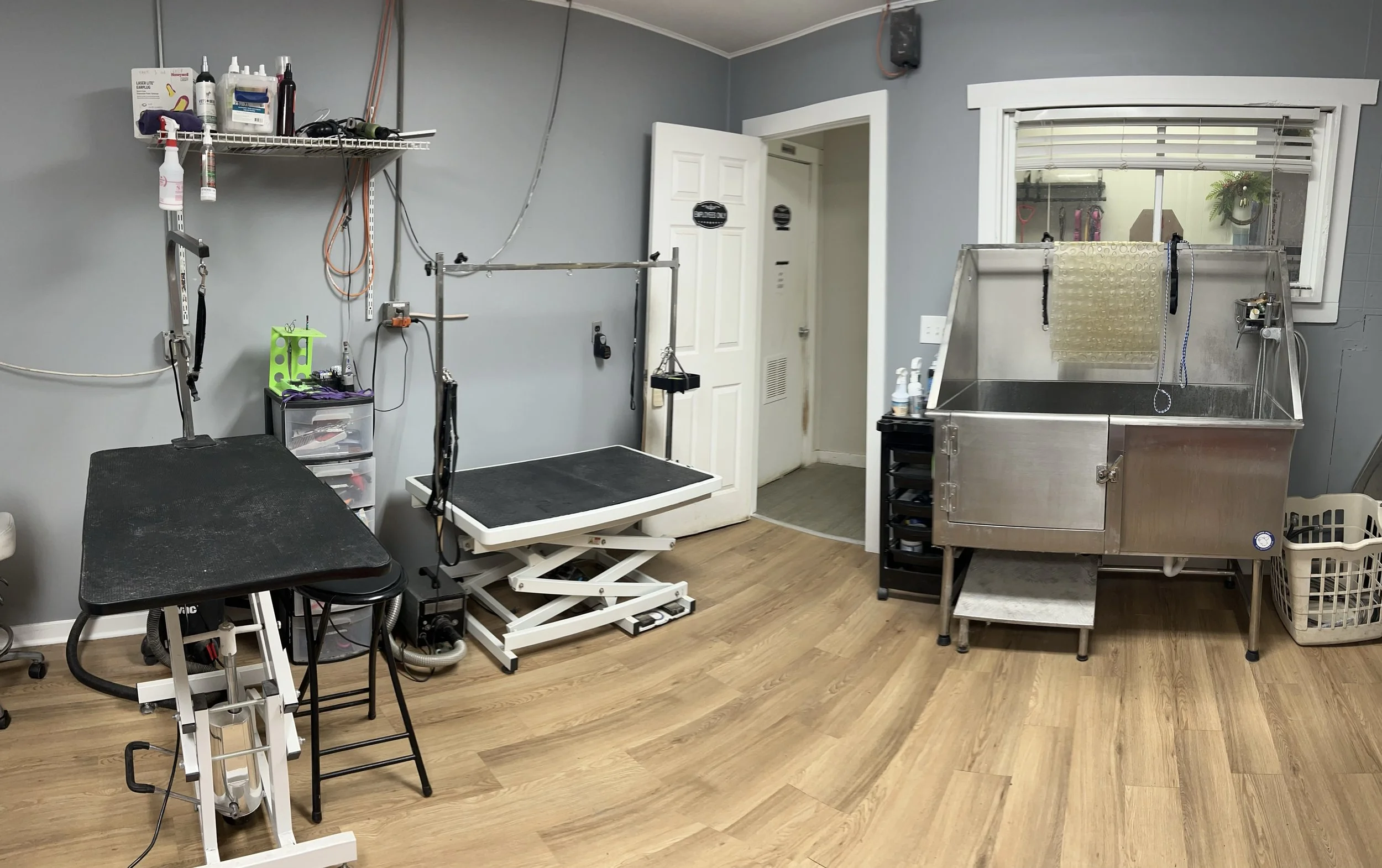 Full Service Cat/Dog Grooming — Jeanette's PAWS LLC