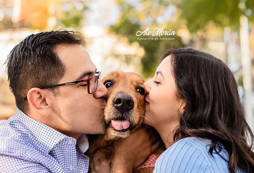 Sesión de fotos de compromiso con perritos en Guadalajara — Fotógrafa ...