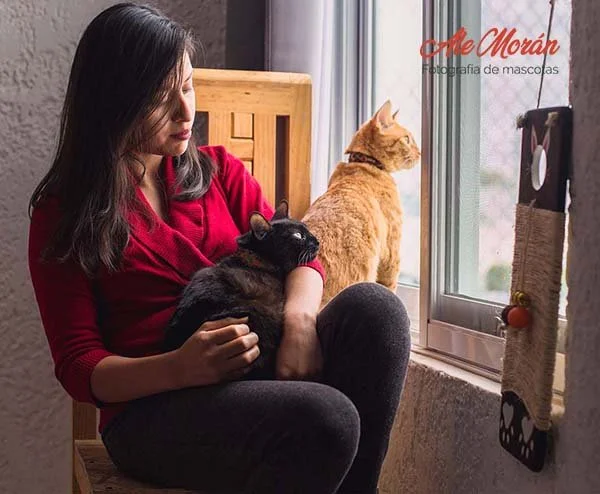 Día nacional de la Cat Lady o la Dama de los gatos — Fotografía de ...