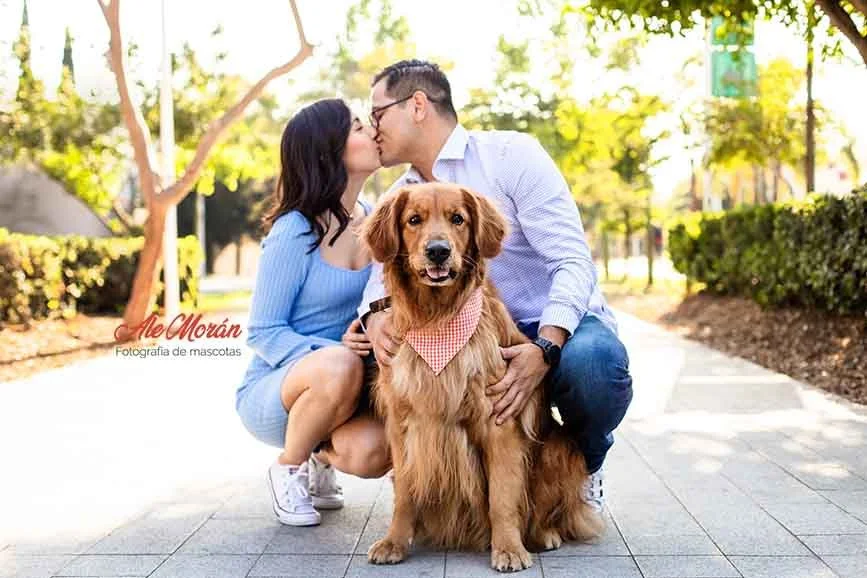 Sesión de fotos de compromiso con perritos en Guadalajara — Fotógrafa ...
