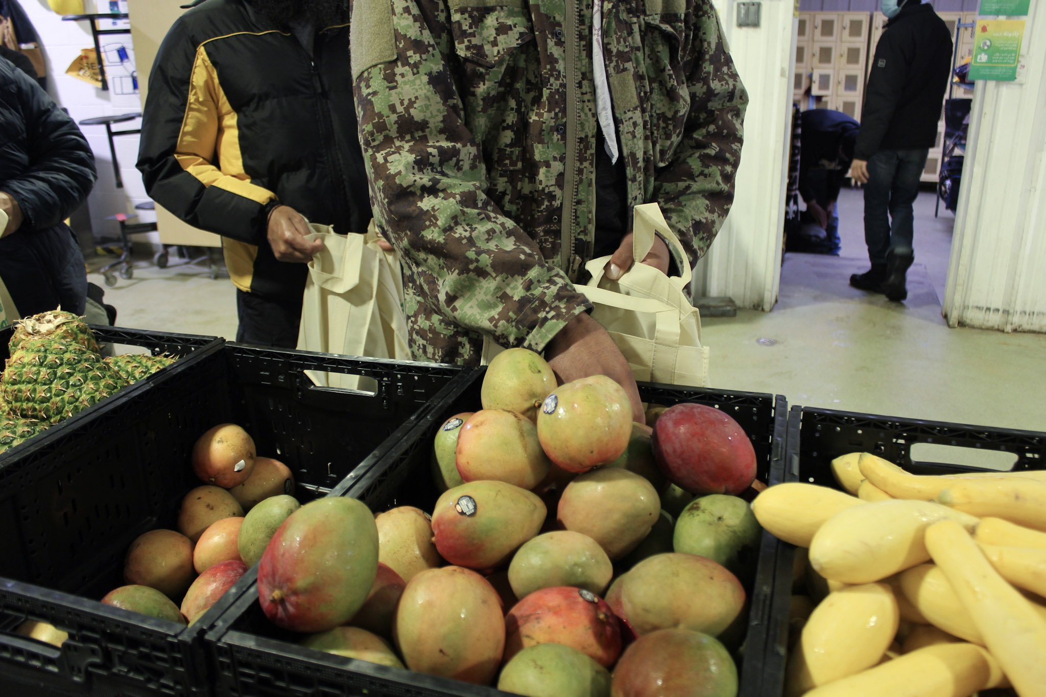 Fresh Texas — Join Our Team