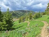 Trails - Red Lodge — Beartooth Trails