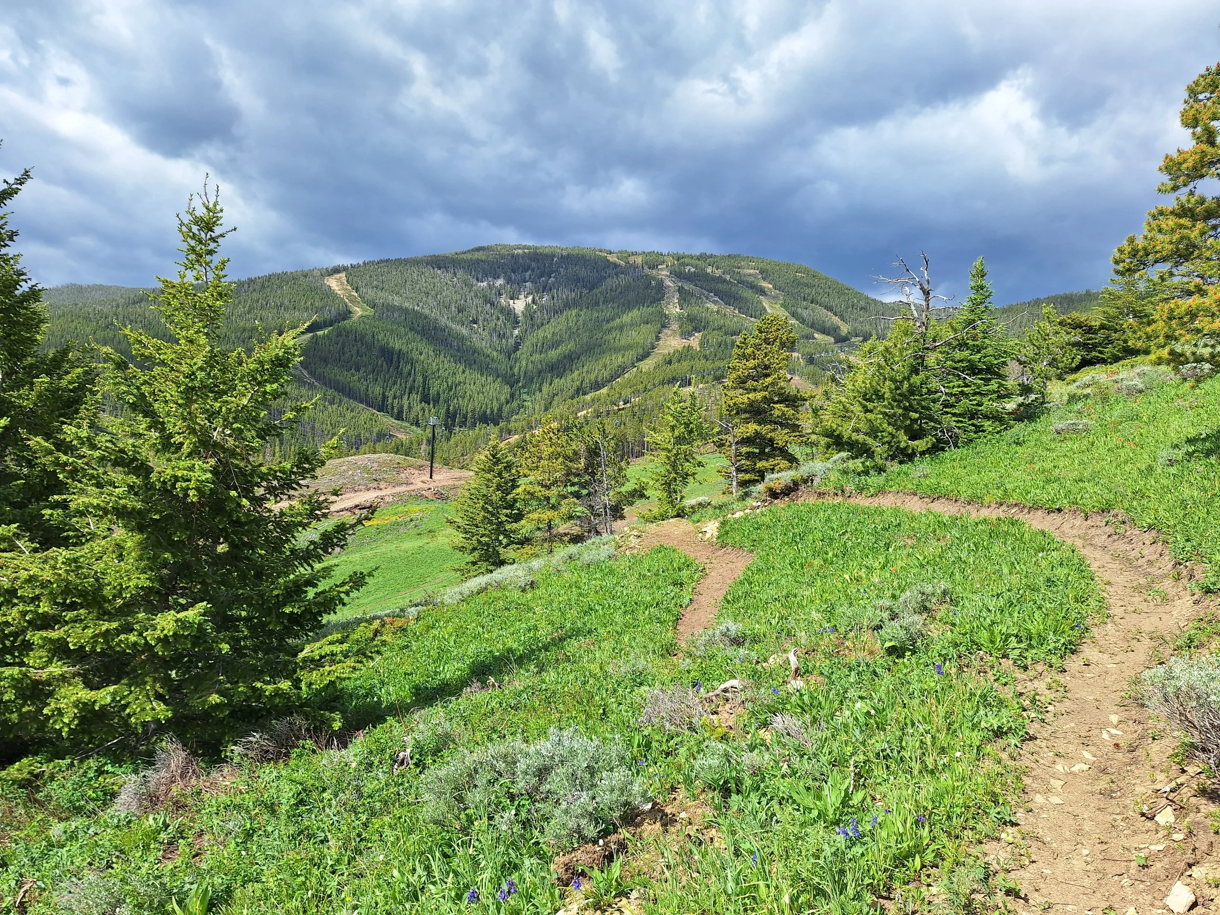 Trails - Red Lodge — Beartooth Trails