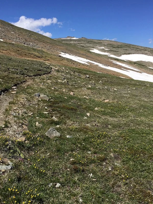 Trails - West Fork — Beartooth Trails