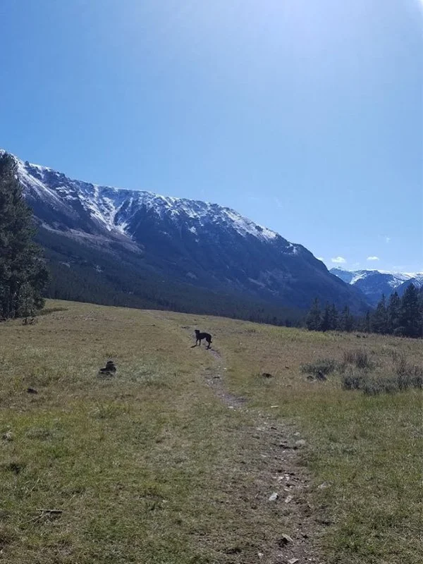 Trails - Main Fork — Beartooth Trails