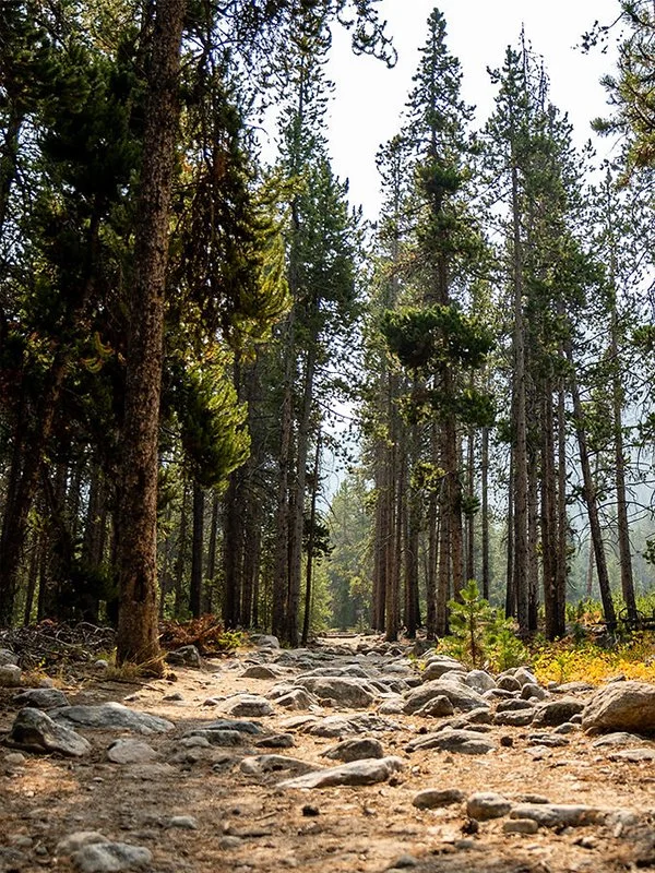 Trails - West Fork — Beartooth Trails