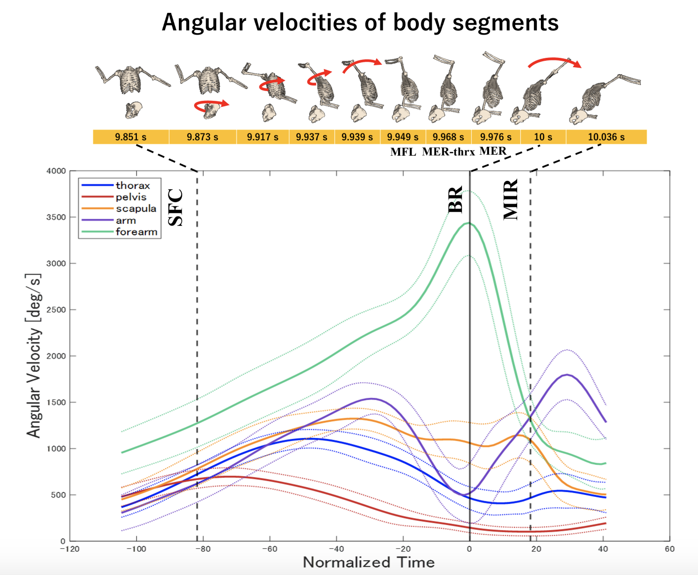 Why Is Thoracic Mobility Important For Pitching Velocity And Arm Health ...