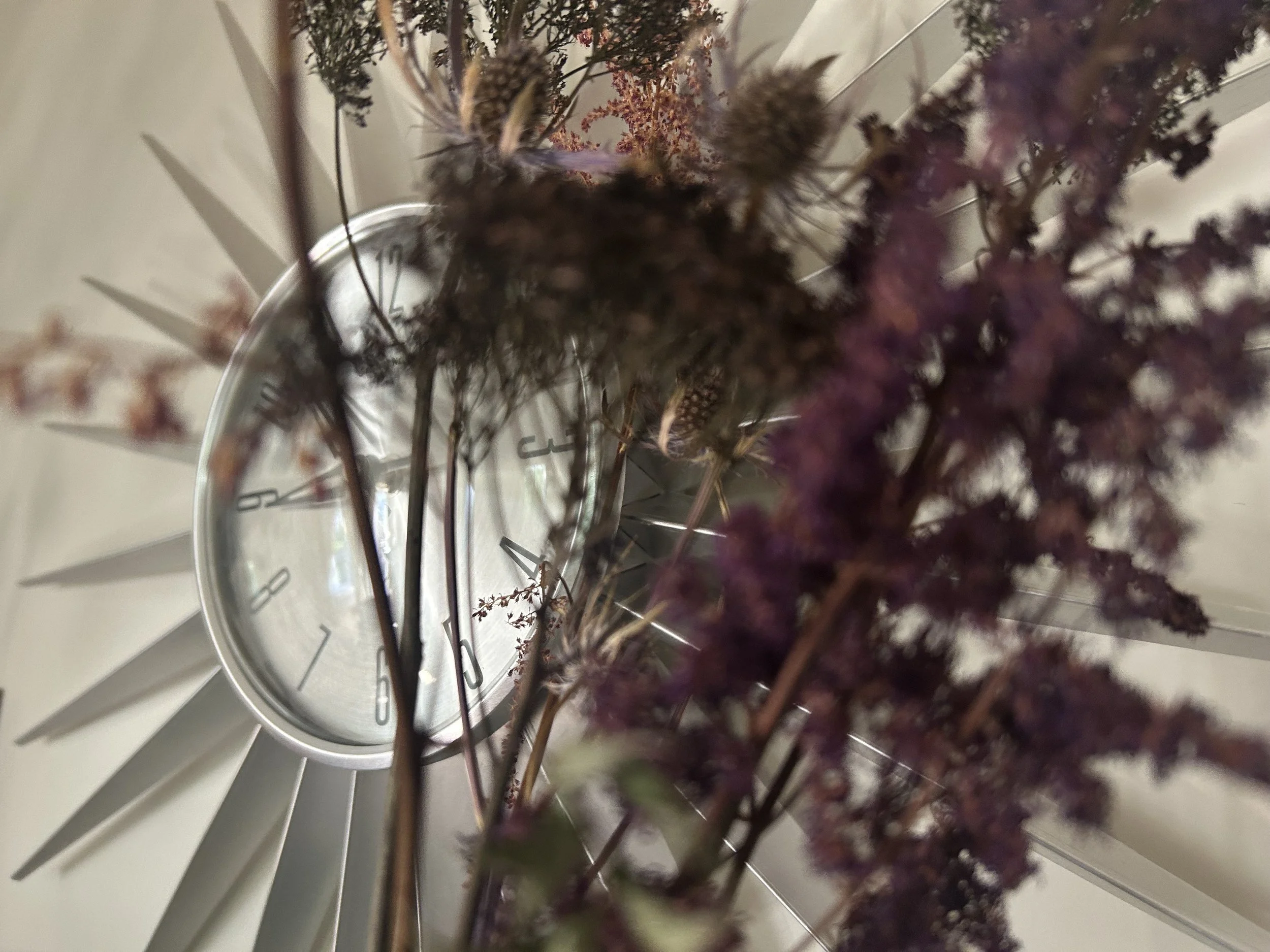 Issue 21 — THE SHORE