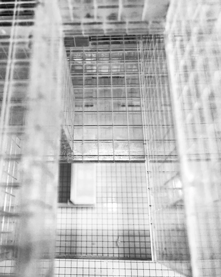 Issue 18 — THE SHORE