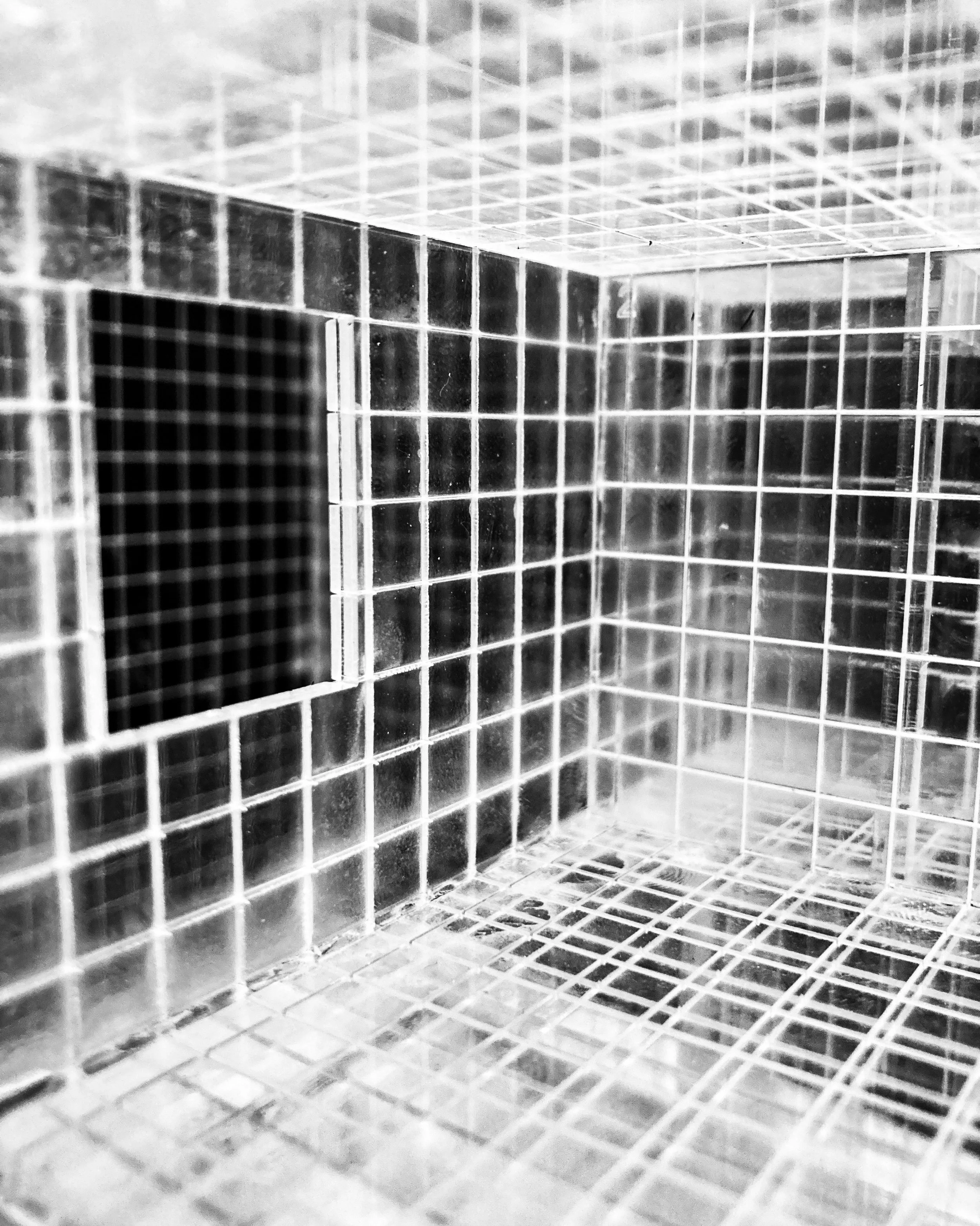 Issue 18 — THE SHORE