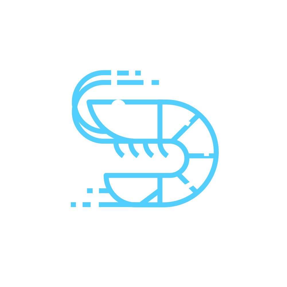 Kiwi Fish | Your premium seafood wholesaler