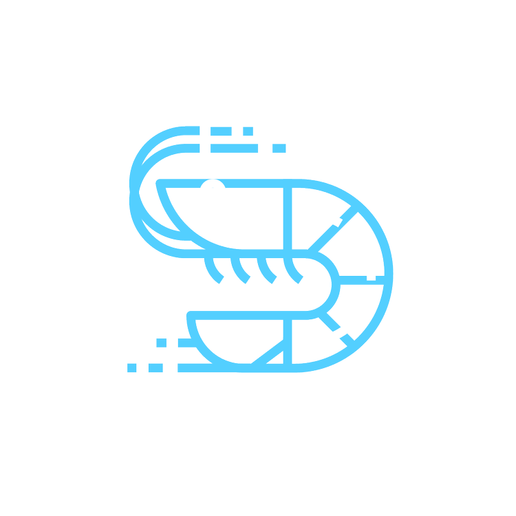 Kiwi Fish | Your premium seafood wholesaler